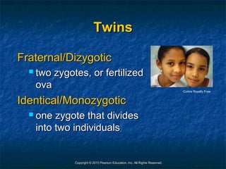 Chapter 2,berk.doc (1) | PPT