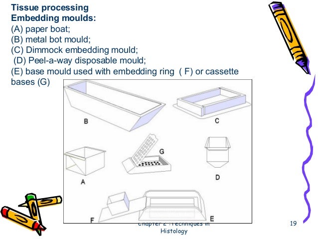 Chapter 2 bio 300 obe