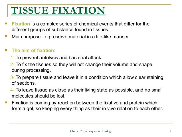 Chapter 2 bio 300 obe