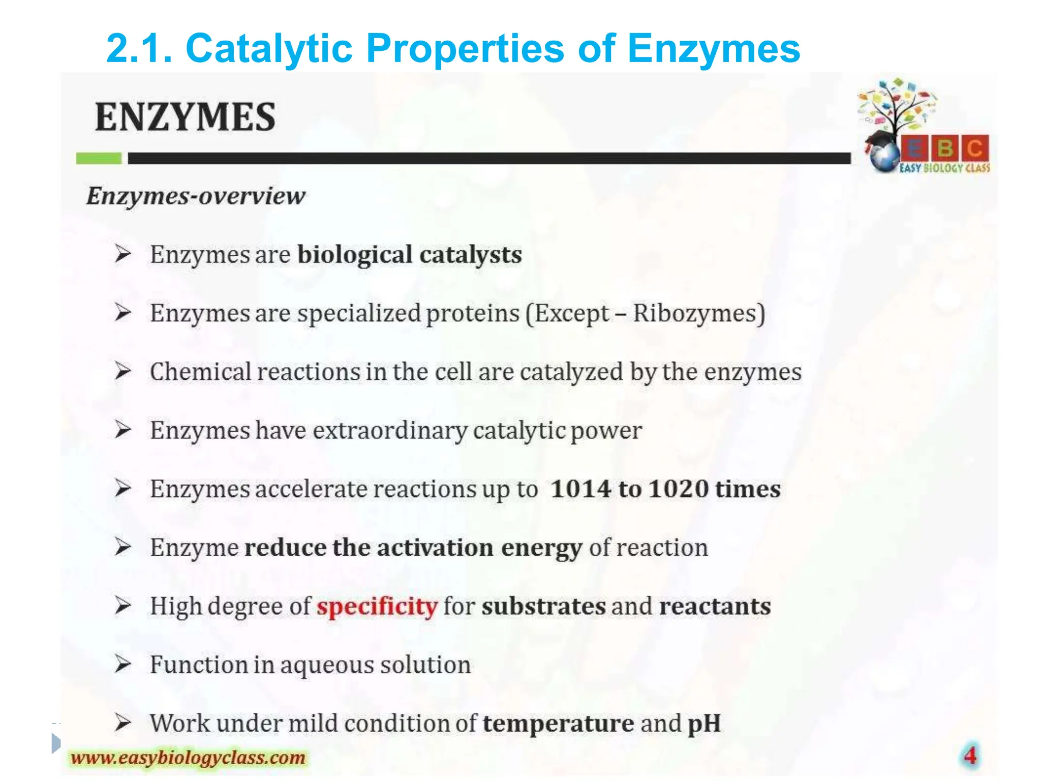 Chapter 2 Biocatalysts and Non-biological Catalysts.pptx