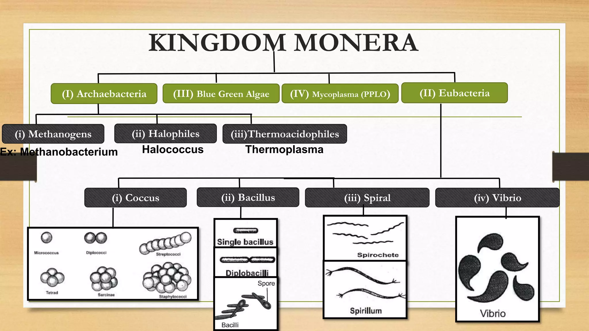 Chapter 2 biological classification main | PPTX