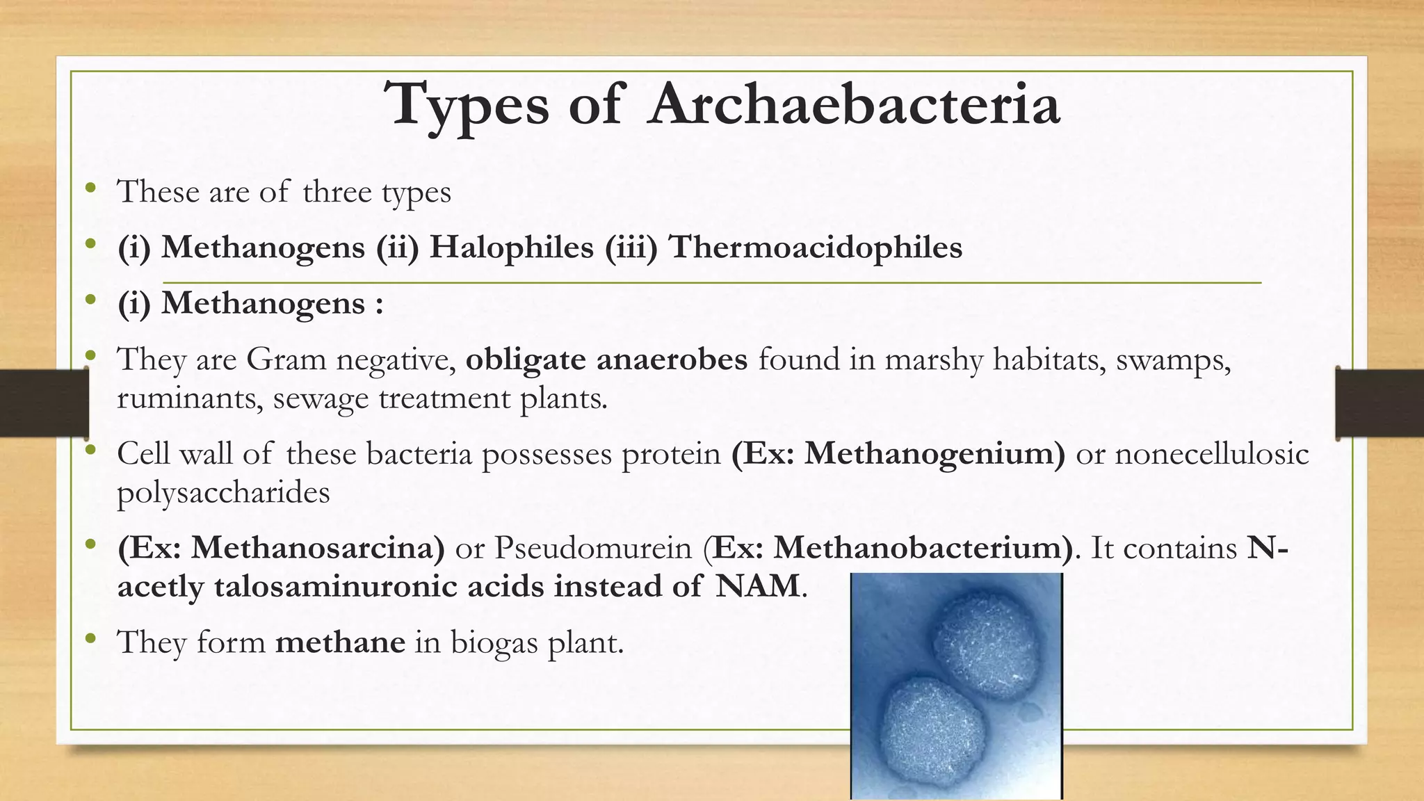 Chapter 2 biological classification main | PPTX