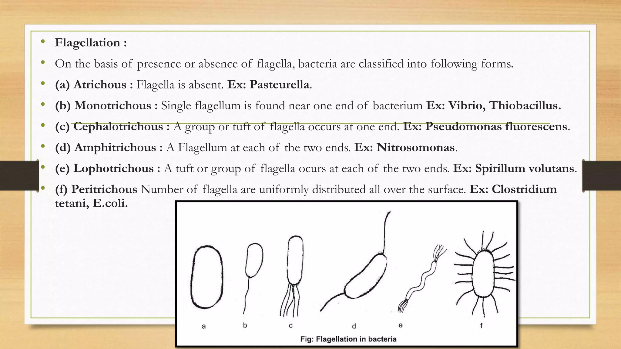 Chapter 2 biological classification main | PPTX
