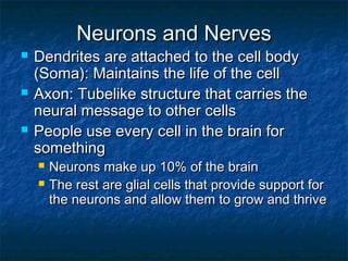 Chapter 2 biological perspective notes | PPT