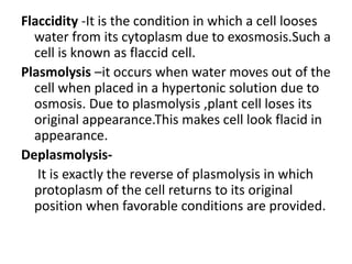 Absorption By Roots ICSE Board Biology | PPTX