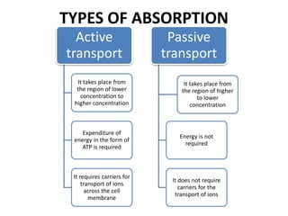 Absorption By Roots ICSE Board Biology | PPTX