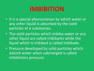 Absorption By Roots ICSE Board Biology | PPTX