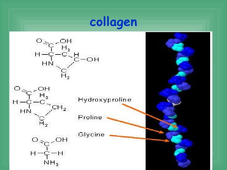 Chapter2 Biology Molecules