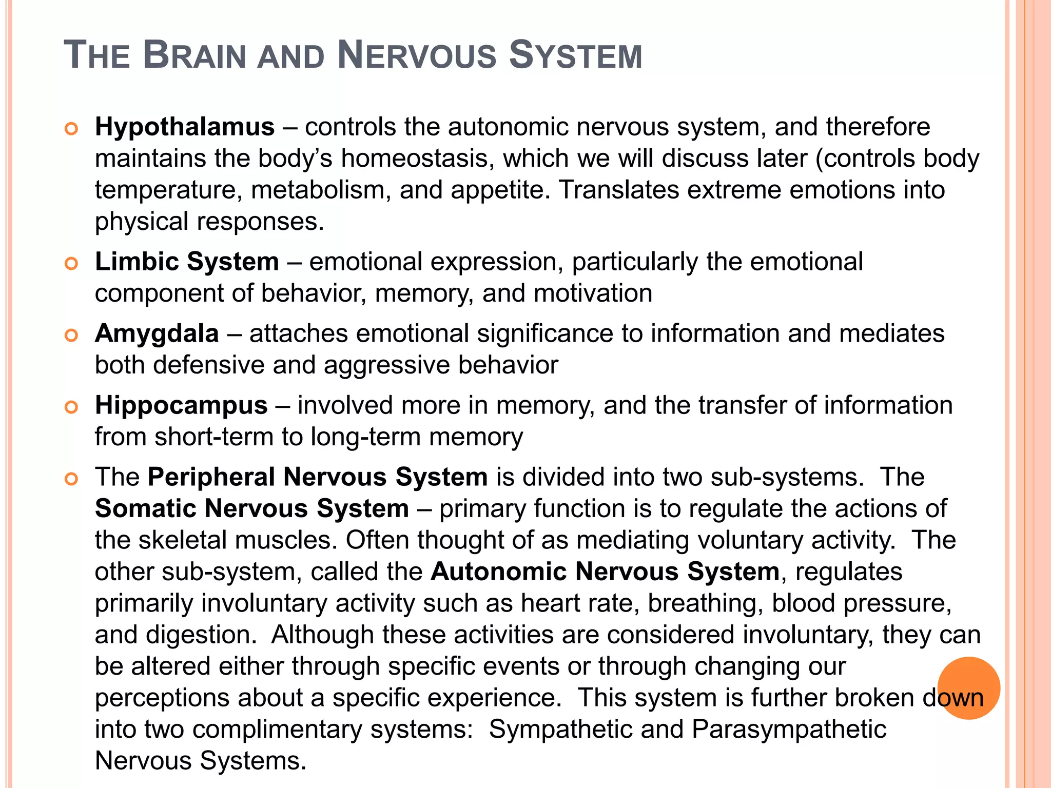 Chapter 2 biopsychology | PPTX