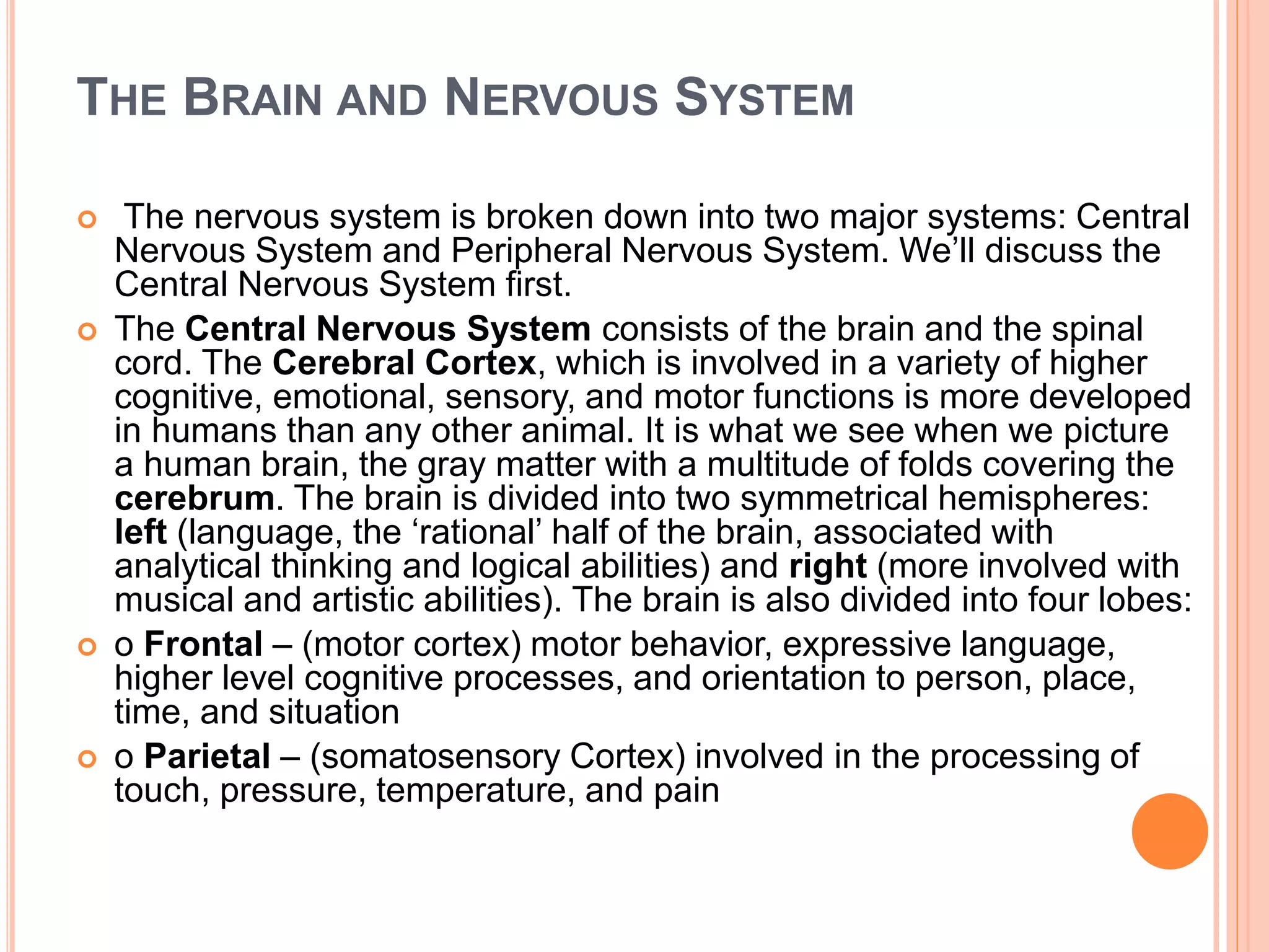 Chapter 2 biopsychology | PPTX