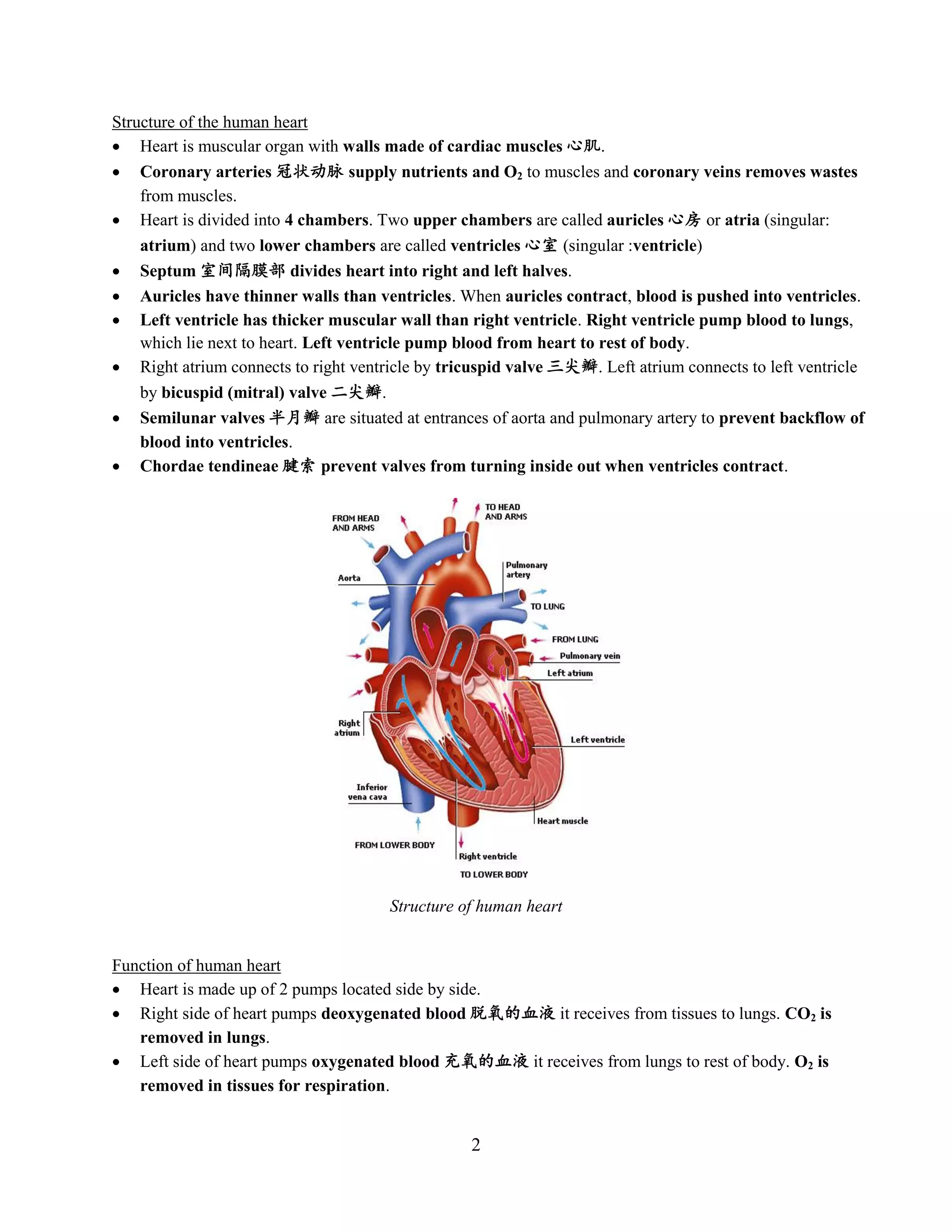 Chapter 2 Blood Circulation and Transportation | PDF