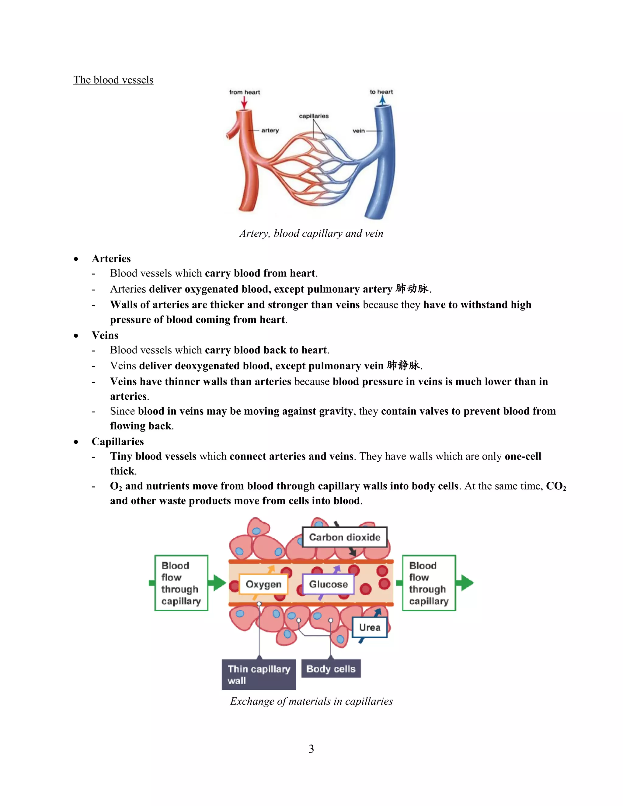 Chapter 2 Blood Circulation and Transportation | PDF