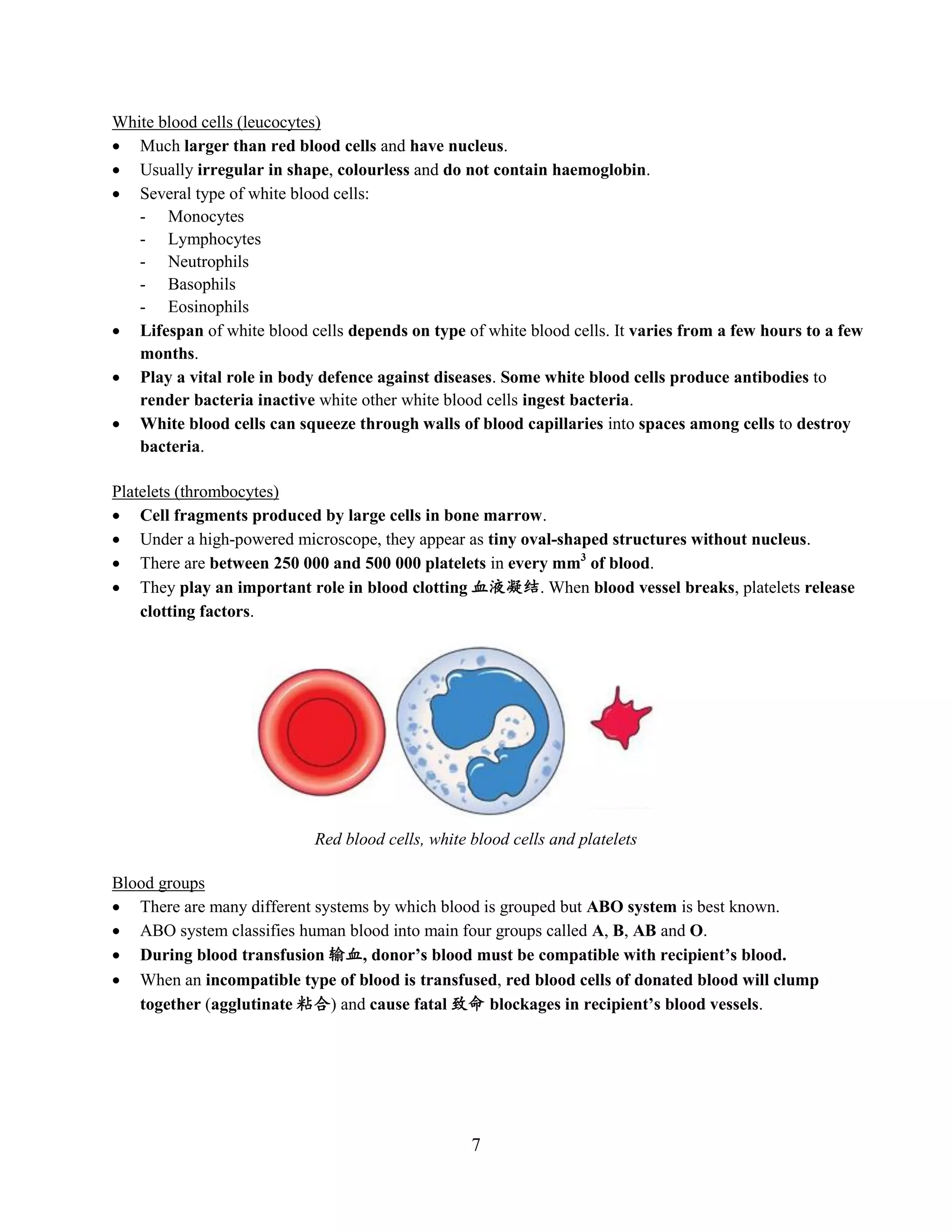 Chapter 2 Blood Circulation and Transportation | PDF