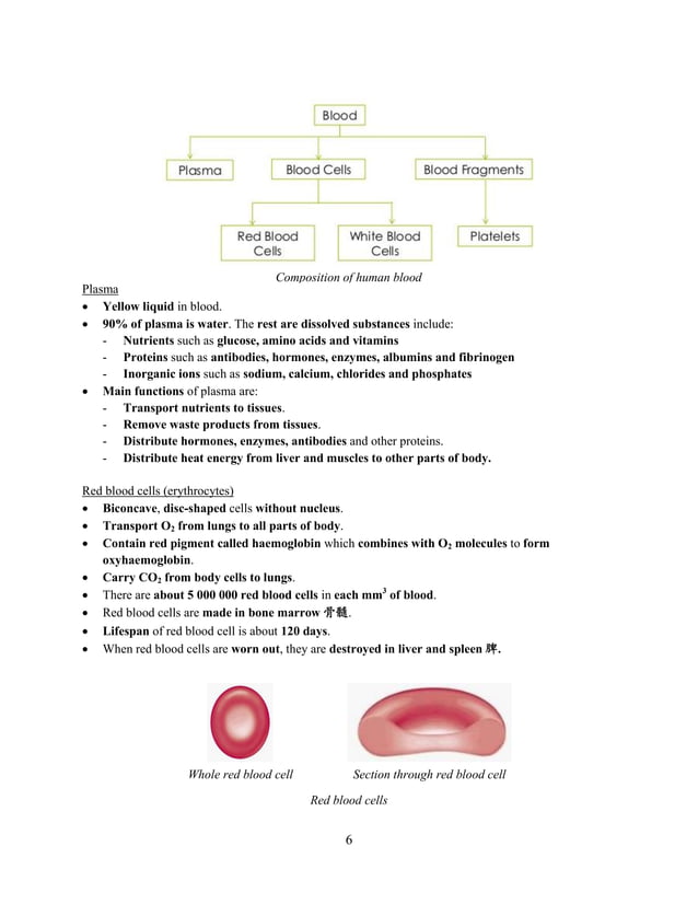 Chapter 2 Blood Circulation and Transportation | PDF