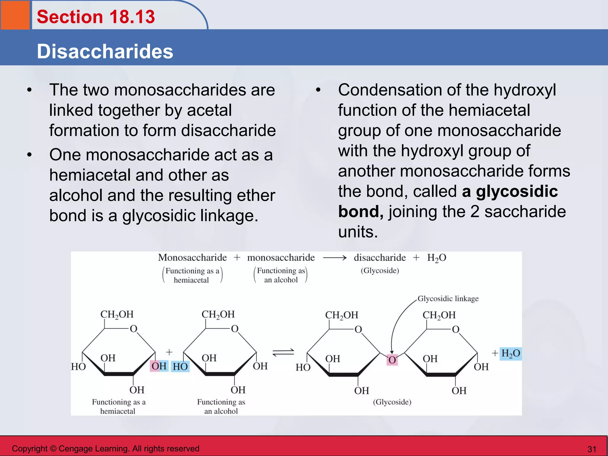 Chem 45 Biochemistry: Carbohydrates | PDF