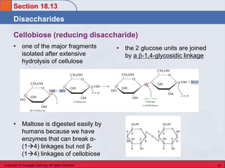 Chem 45 Biochemistry: Carbohydrates | PDF