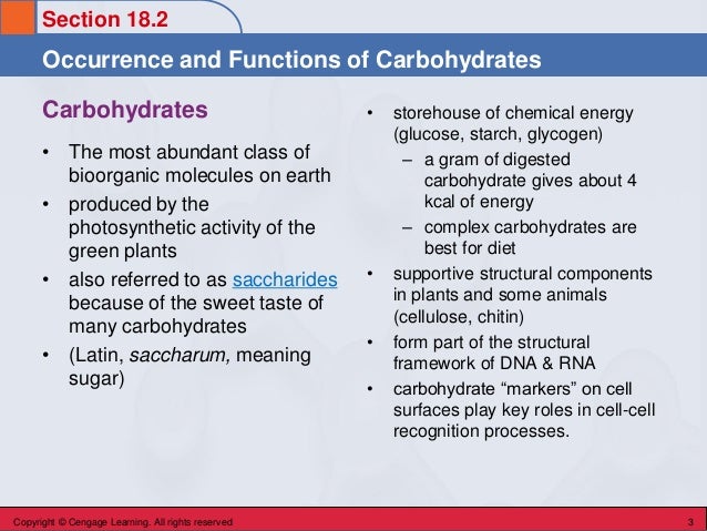 Carbohydrates Function