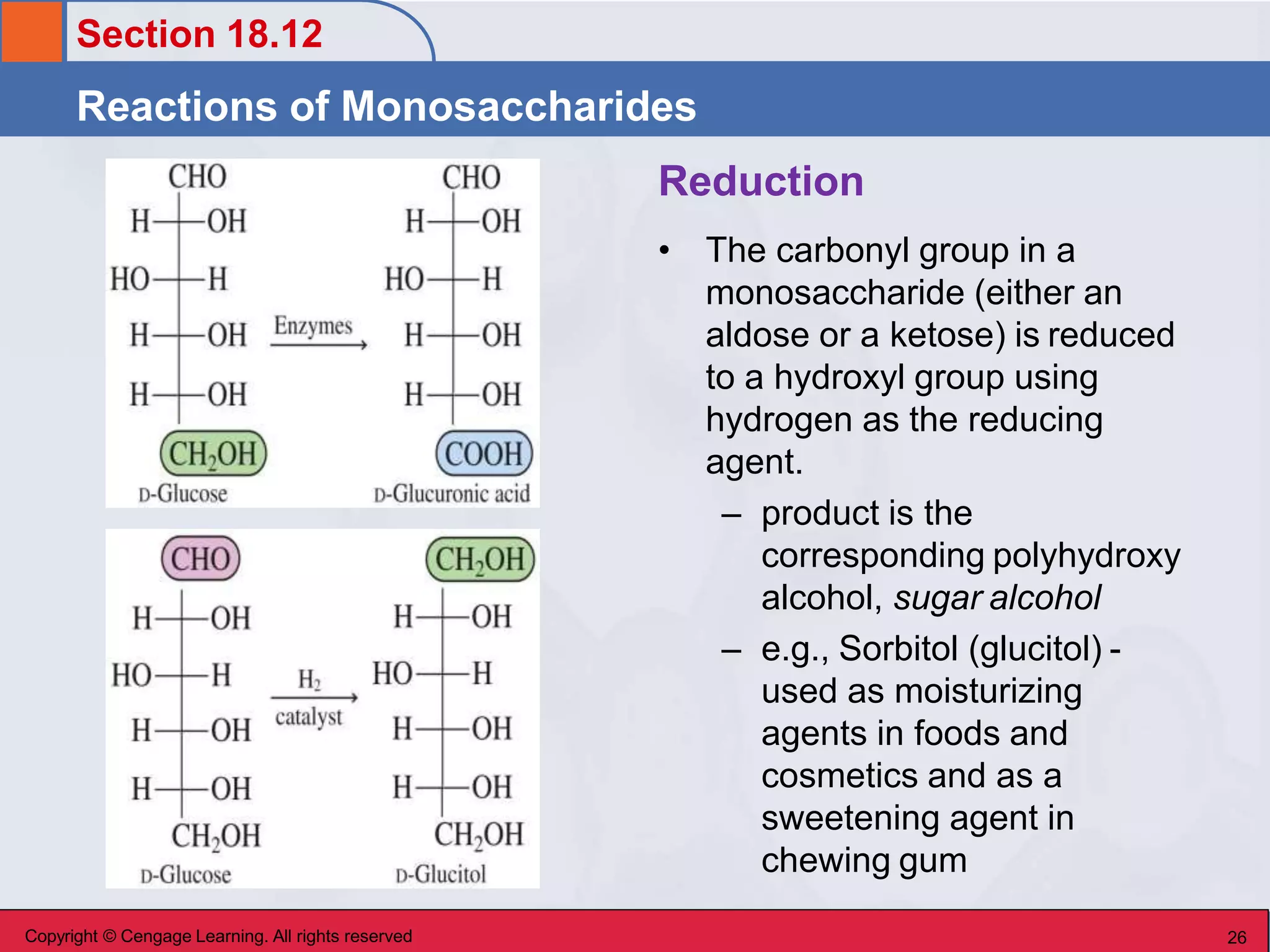 Chapter2 Carbohydrates 1 (1).pptx