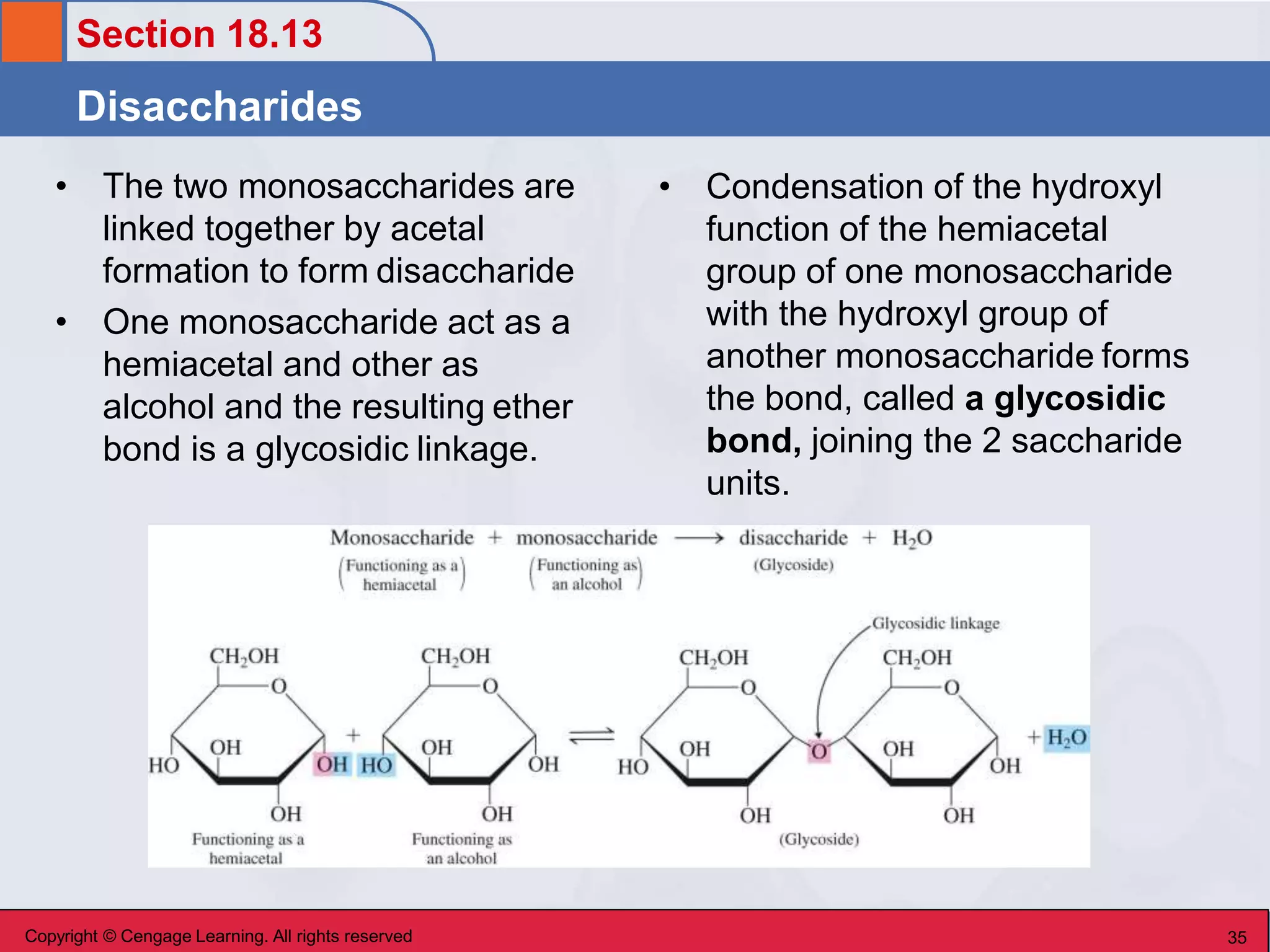 Chapter2 Carbohydrates 1 (1).pptx