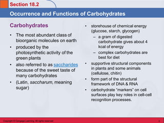 Chapter2 Carbohydrates 1 (1).pptx