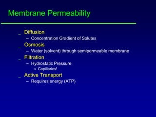 Chapter2 cellmarieb | PPT