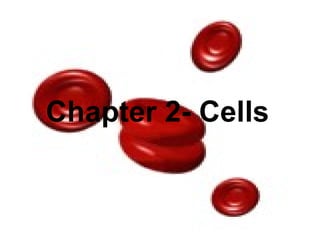 Chapter 2 cells 2011 | PPT | Biological Sciences | Science