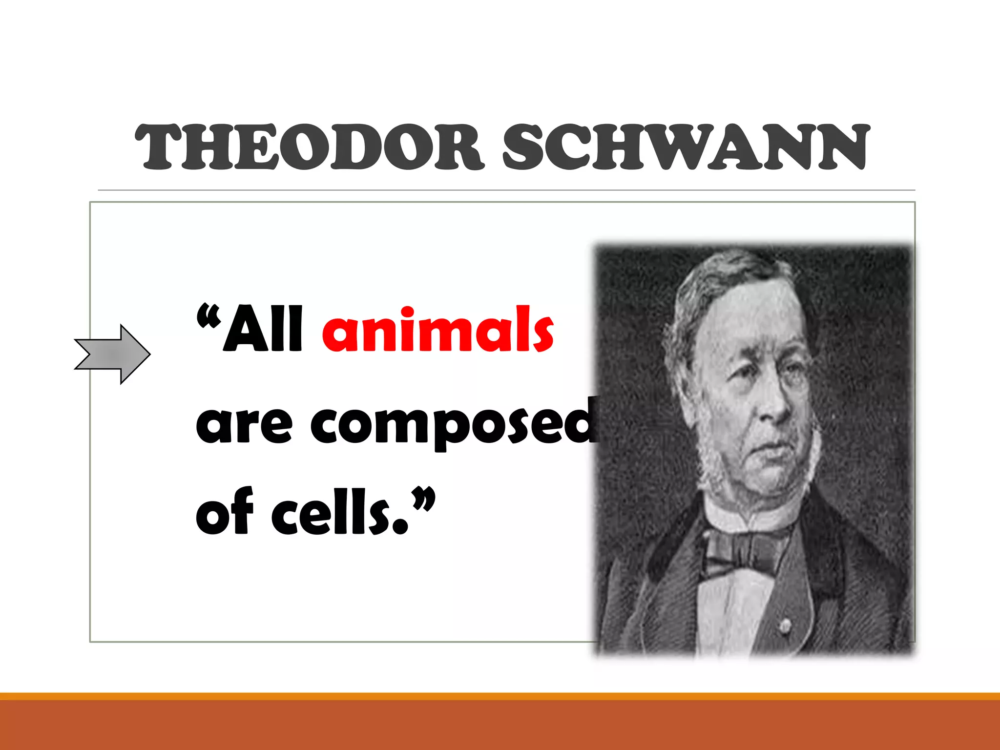 Chapter 2 : Cell Structure and Functions | PDF