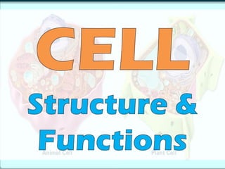 Chapter 2 : Cell Structure and Functions | PDF