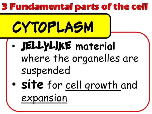 Chapter 2 : Cell Structure and Functions | PDF | Biological Sciences ...