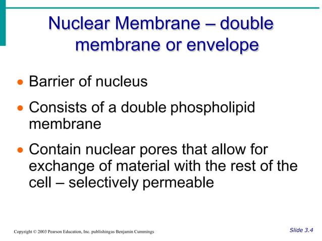 Chapter 2 Cellular Structure & Physiology.pdf