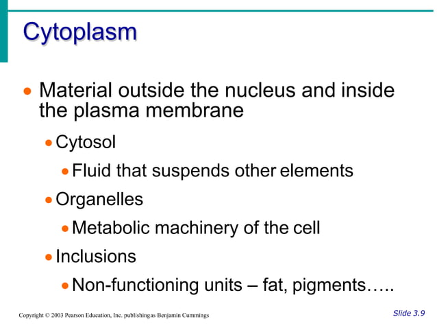 Chapter 2 Cellular Structure & Physiology.pdf