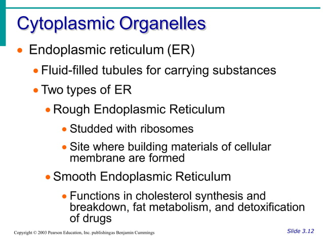 Chapter 2 Cellular Structure & Physiology.pdf