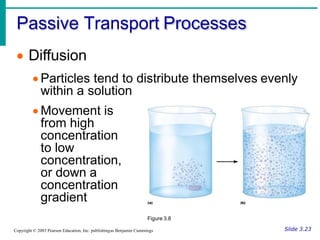 Chapter 2 Cellular Structure & Physiology.pdf