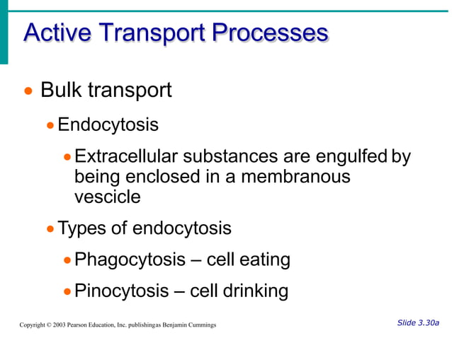 Chapter 2 Cellular Structure & Physiology.pdf