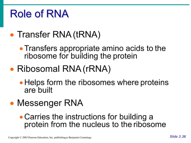 Chapter 2 Cellular Structure & Physiology.pdf