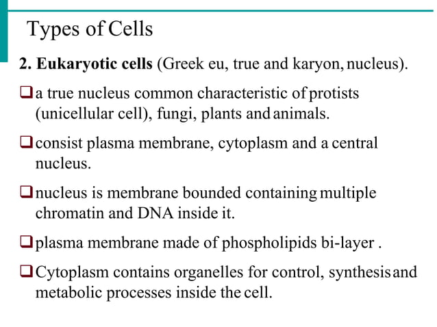 Chapter 2 Cellular Structure & Physiology.pdf