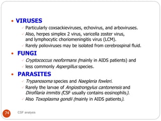 Chapter_2_Cerebrospinal_Fluid. in detail explanation | PDF