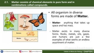 Chapter 2 Chemical Basis of Life BIO 1 Cell Mol | PDF