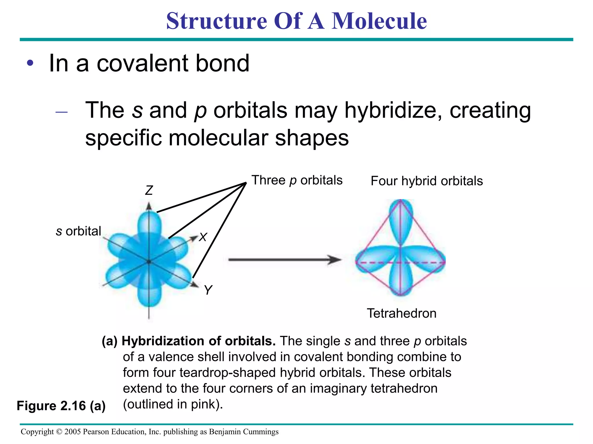 chapter2_chemical_context_of_life.ppt