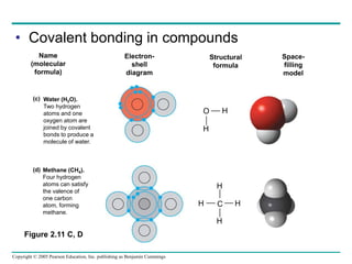 chapter2_chemical_context_of_life.ppt