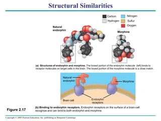 chapter2_chemical_context_of_life.ppt