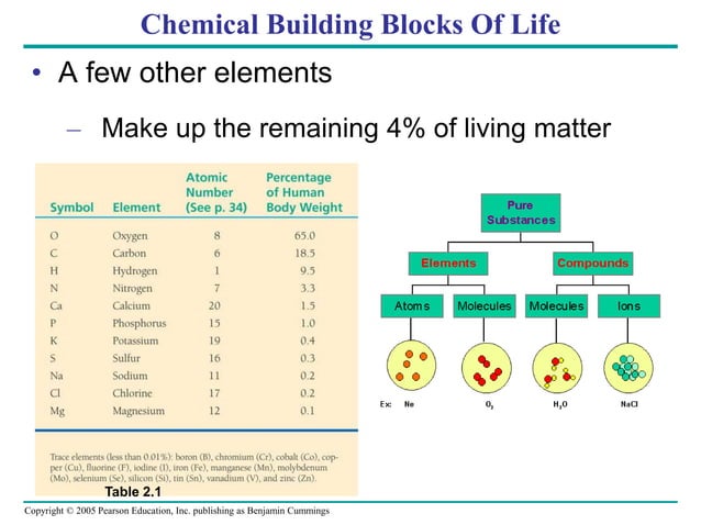 chapter2_chemical_context_of_life.ppt