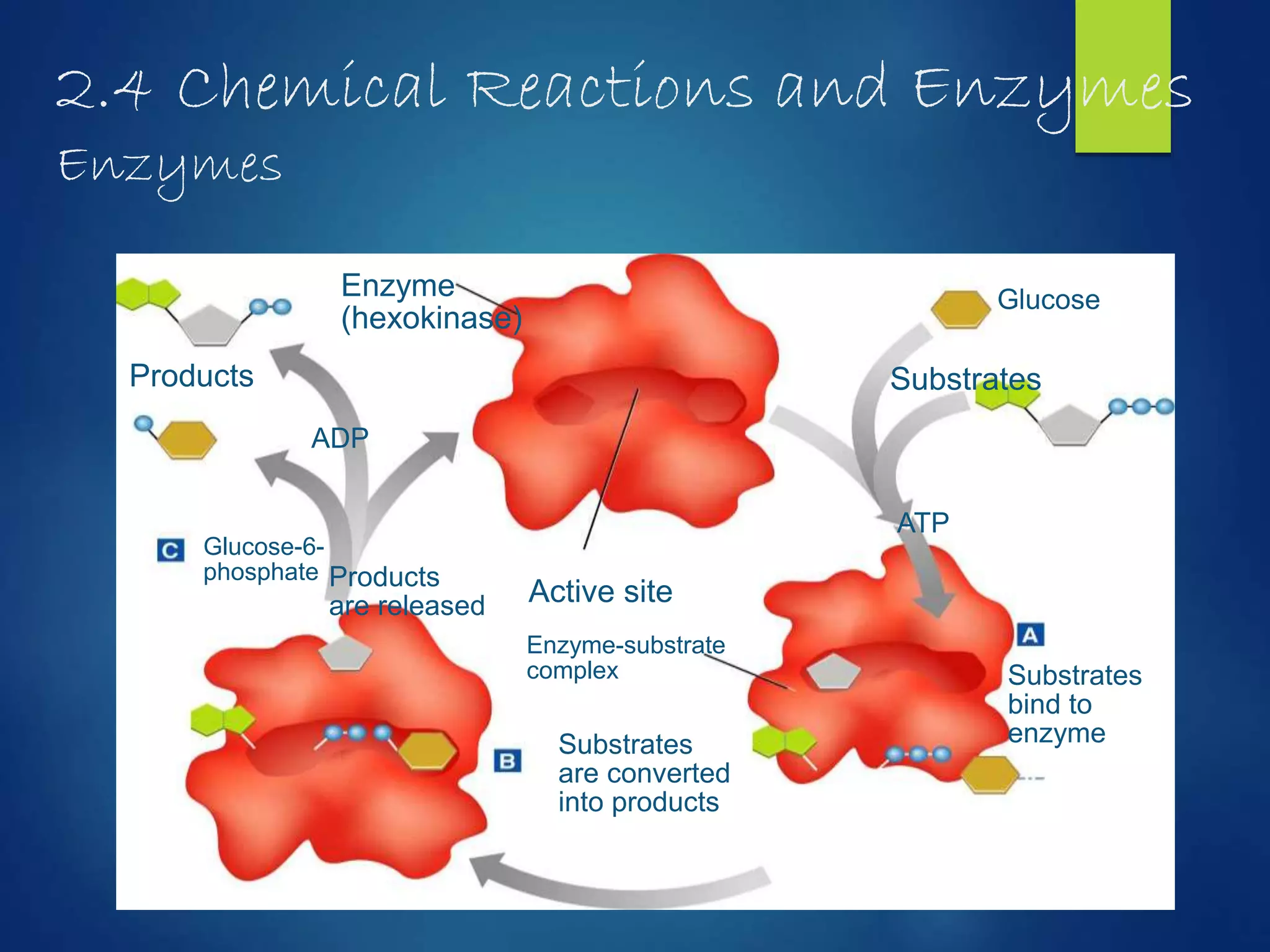 Chapter 2 chemistry power point | PPTX