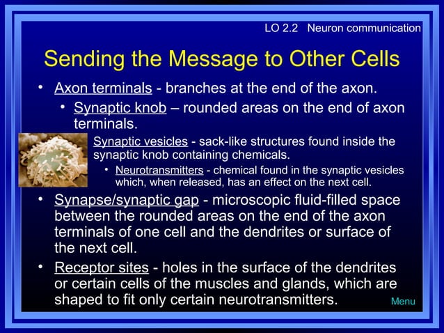 Chapter 2 ciccarelli | PPT