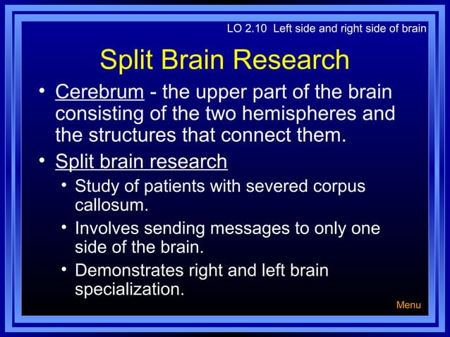 Chapter 2 ciccarelli | PPT