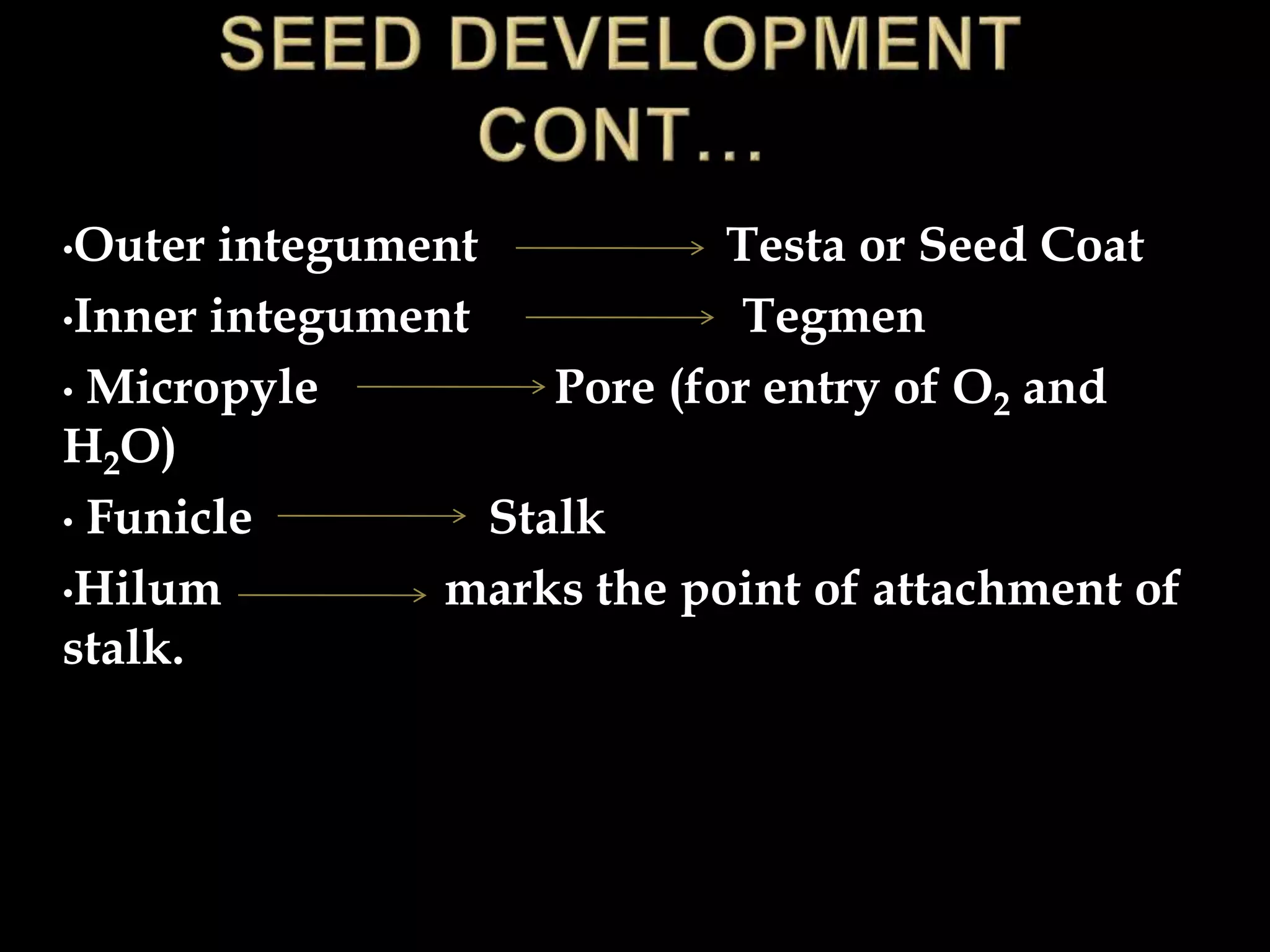 Sexual Reproduction in Flowering Plants | PPTX