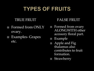 Sexual Reproduction in Flowering Plants | PPTX
