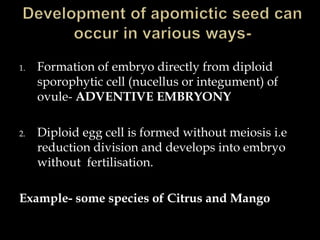 Sexual Reproduction in Flowering Plants | PPTX