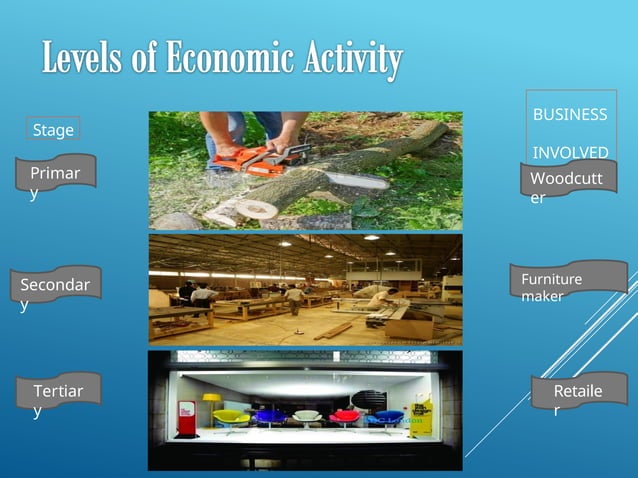 Chapter 2 Classification of Business IGCSE | PPTX
