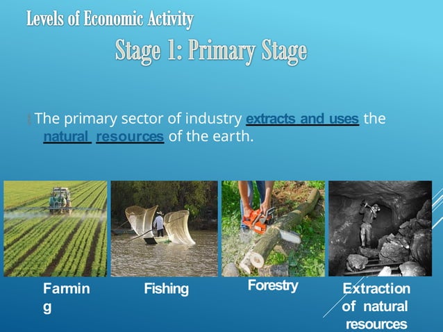 Chapter 2 Classification of Business IGCSE | PPTX